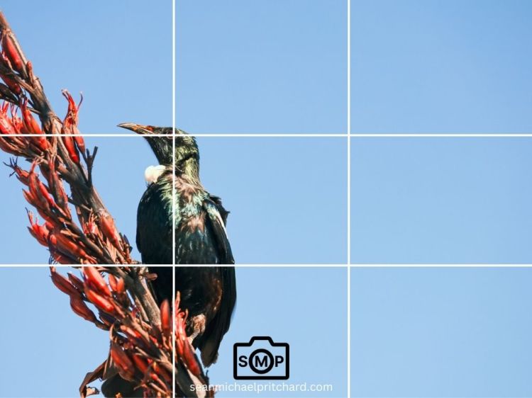 Rule of Thirds Explained With Examples – Sean Michael Pritchard